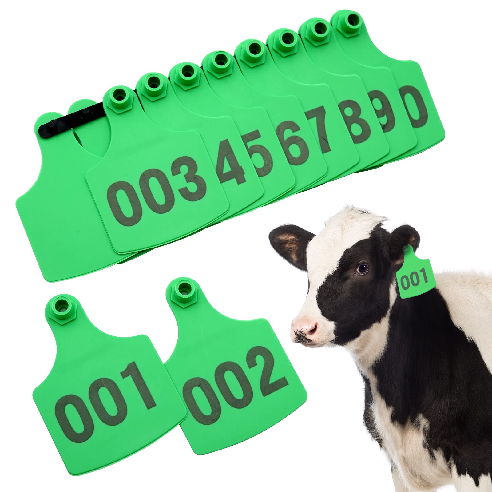 Amazon.com: 100 Sets Numbered Cattle Ear Tags Oversize 4.1x3" Cow Ear ...