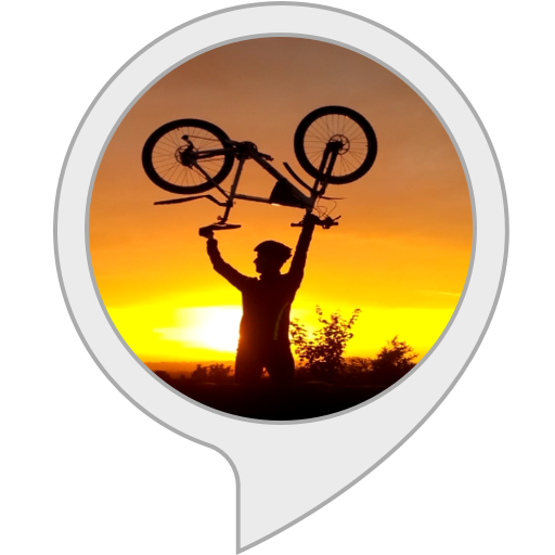 Amazon.com: VI Reference : Alexa Skills