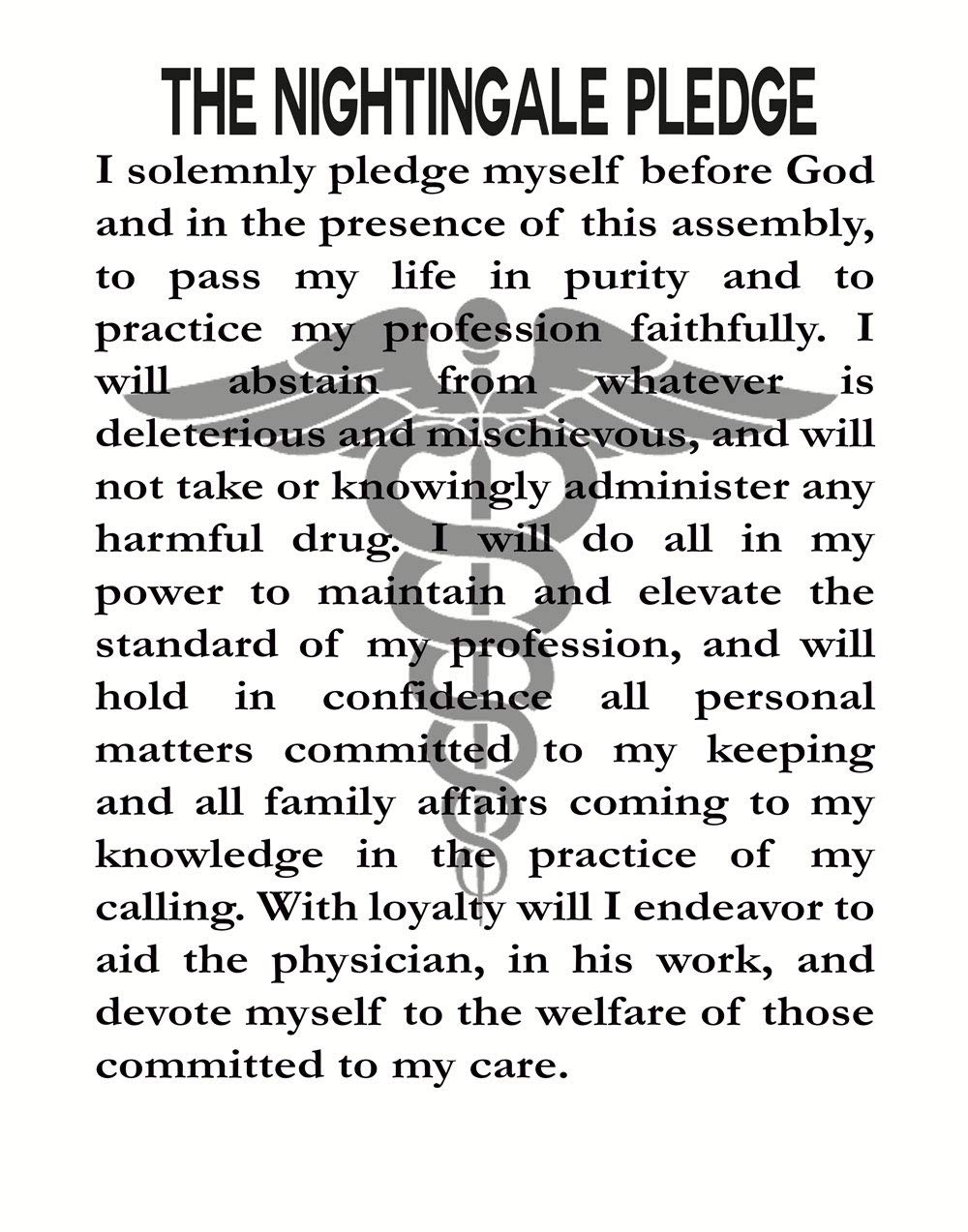 About Florence Nightingale Pledge Image The Racist Lady With The Lamp