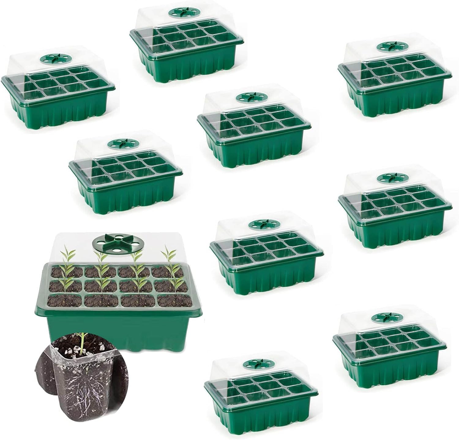QHC sehen 10 Pack Propagators for Plants 120 Cells with Heightened Lids ...