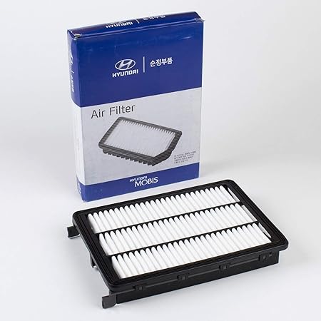 Amazon.com: Genuine OEM 28113-AA100 Air Cleaner Filter / 28113AA100 for ...