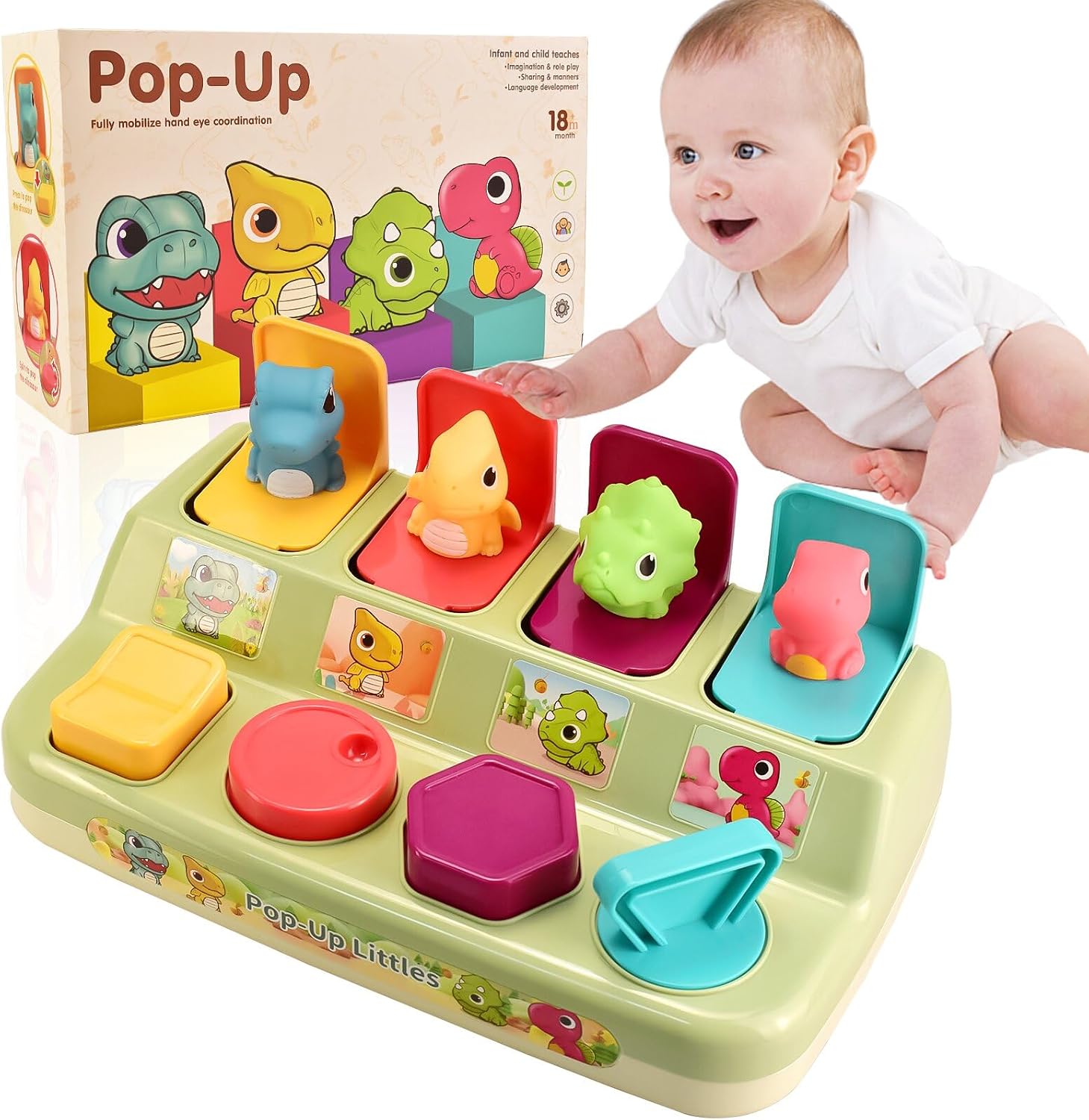 Clatoy Baby Pop Up Dinosaur Toys for 1 Year Old Boys & Girls, Color ...
