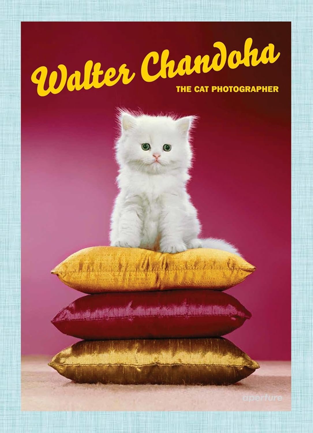 Amazon.com: Walter Chandoha: The Cat Photographer: 9781597113304: La ...