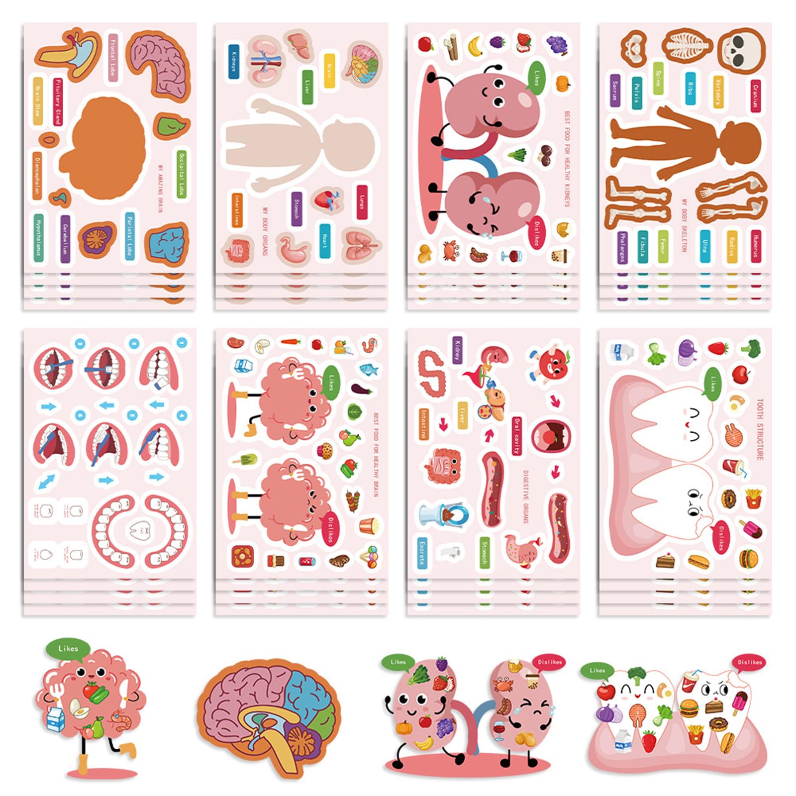 Amazon.com: 24 Sheets Make Your Body Organs Stickers for Kids,Cute ...