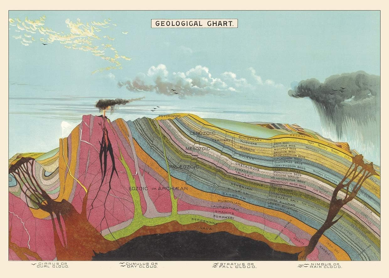 Amazon.com: Cavallini & Co. Decorative Paper Sheet 20"x28"- Geological ...
