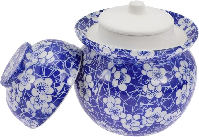 Amazon.com: Yardenfun Ceramic Kimchi Jar with Double Lid Sealing ...