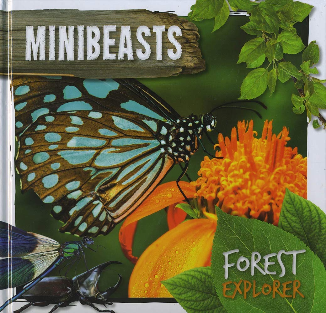 Minibeasts (Forest Explorer): Twiddy, Robin: 9781786374769: Amazon.com ...