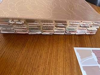 NLT Super Giant Print Bible, Filament Enabled (LeatherLike, Blush ...