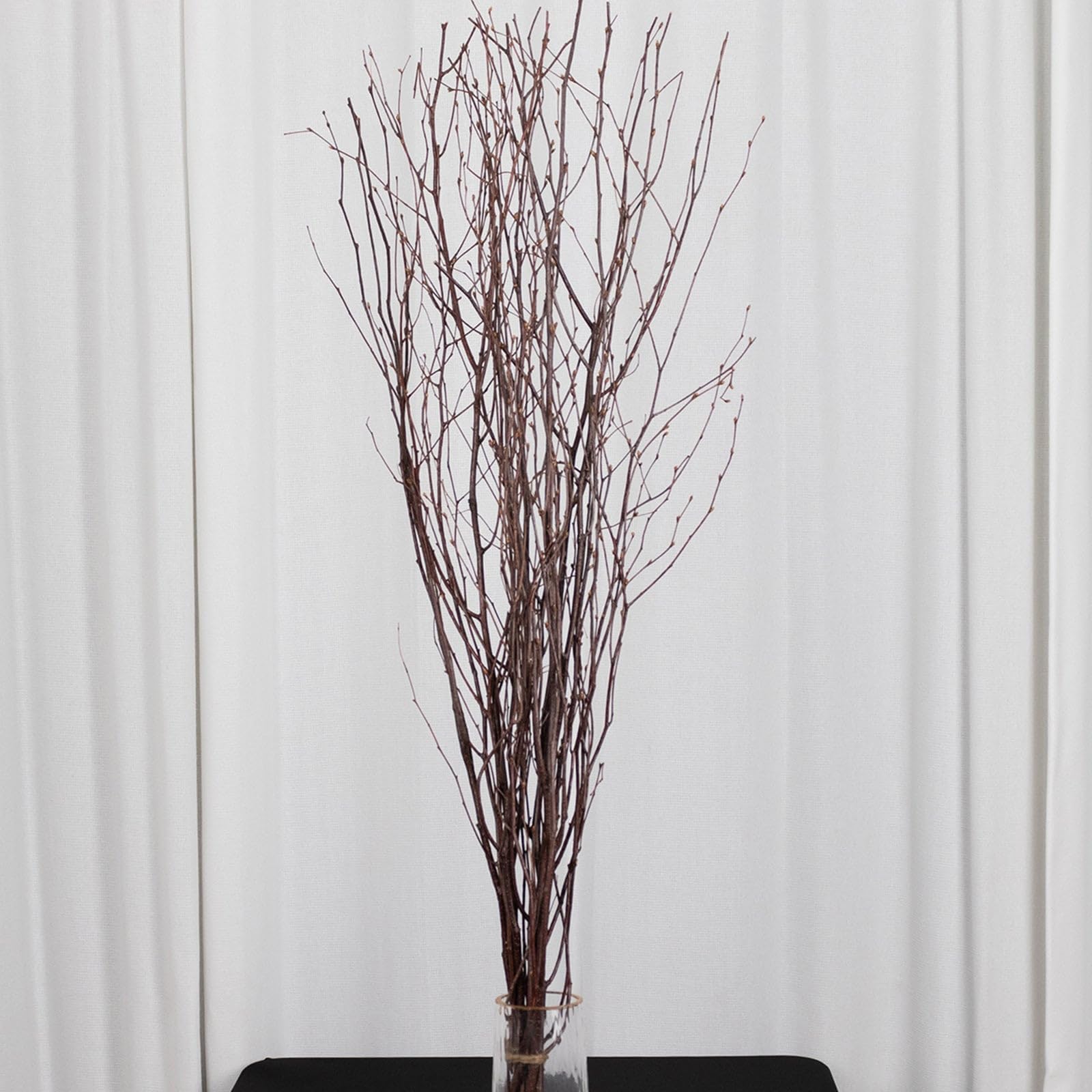 Amazon.com: Efavormart 6 Pack Natural Decorative Birch Tree Branches ...