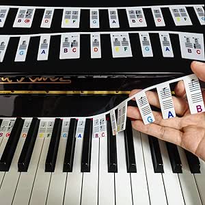 Amazon.com: Piano Keyboard Stickers, 88 Key Piano Notes Guide for ...