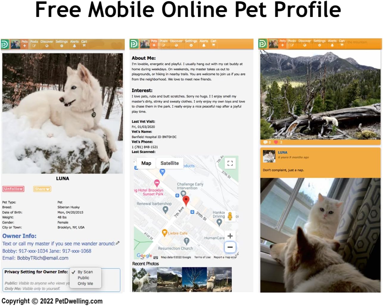 Buy Pet Dwelling 2D Service Dog QR Code Pet ID Tag - Online Pet Profile ...