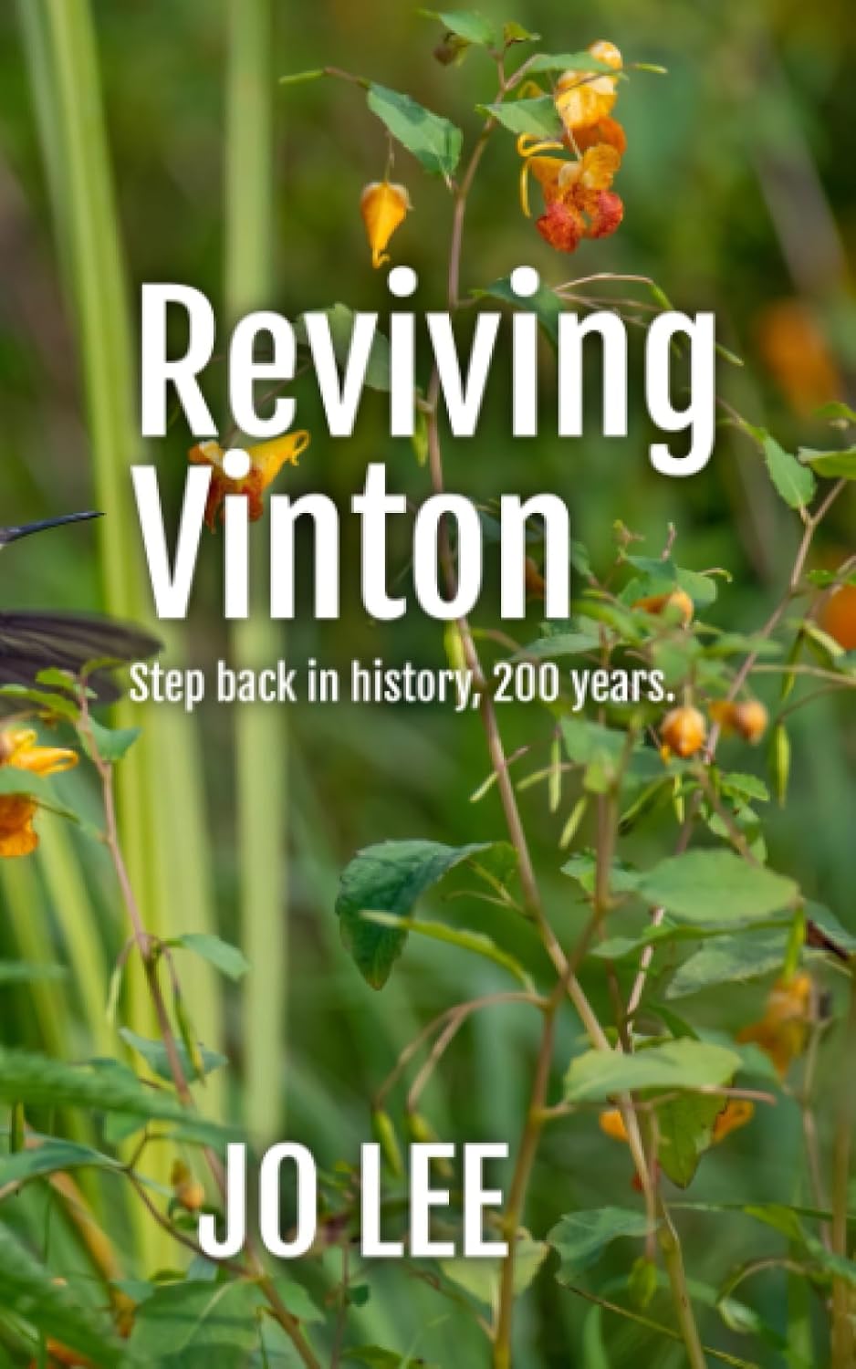 Reviving Vinton: Step Back in History, 200 years: LEE, JO ...