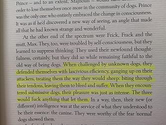 Fifteen Dogs: Alexis, Andre: 9781552453056: Books - Amazon.ca