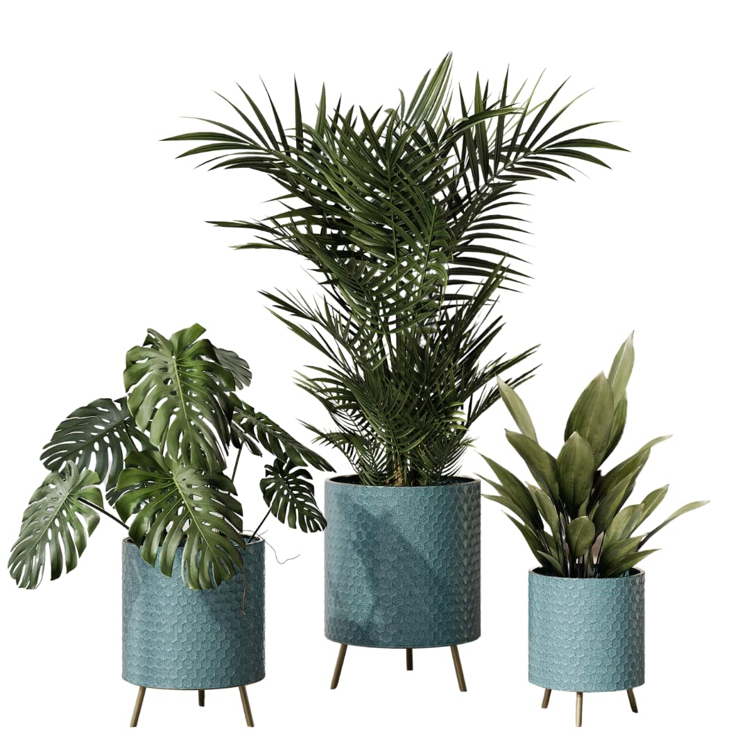 Amazon.com : EverNest Mid-Century Modern Rhys Honeycomb Embossed ...