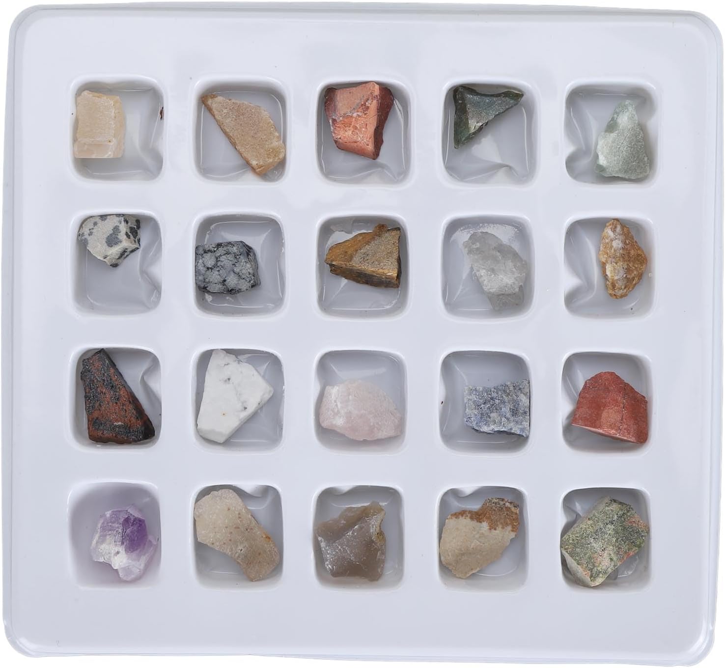Amazon.com: gernie 20Pcs Rock Collection Kit Children Box Set Specimen ...