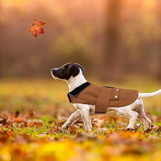 Amazon.com : Faihats Warm Dog Jacket,Waterproof Dog Coat,Coats for Dogs ...