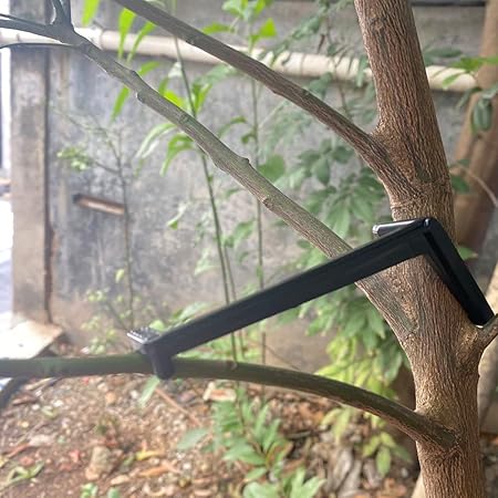 Amazon.com : DVECUE Tree Spreaders Fruit Tree Limb Spreader 25 Pieces ...