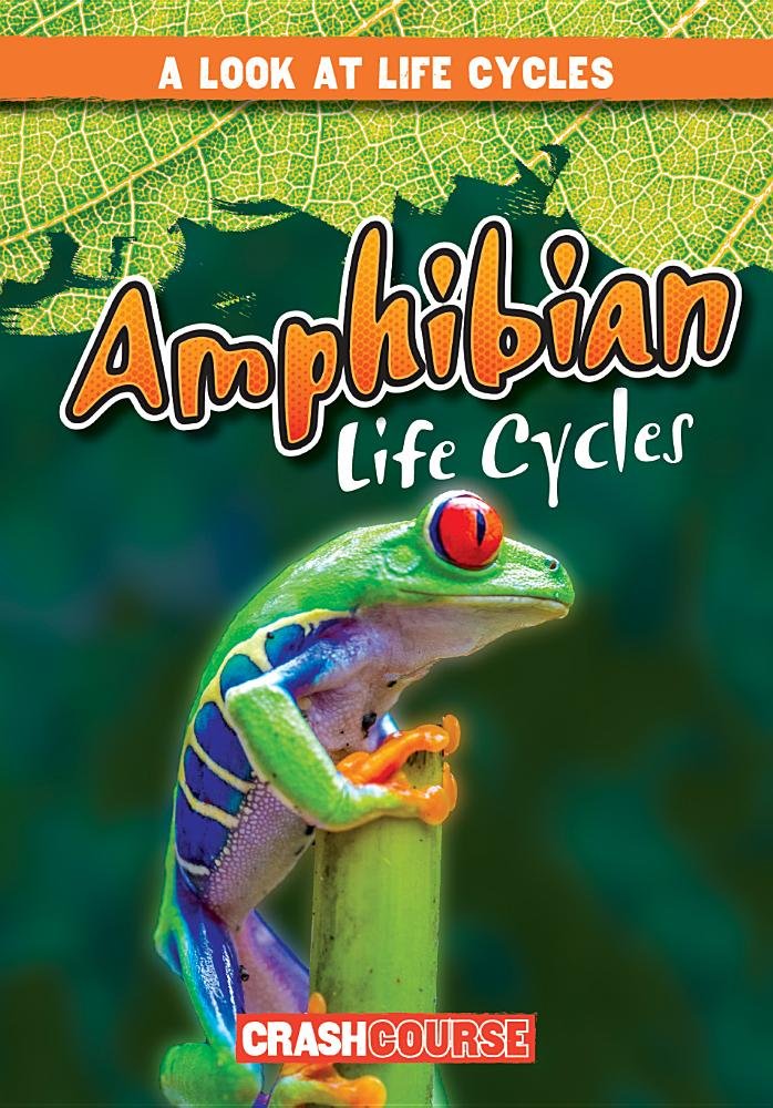 Amphibian Life Cycles (Look at Life Cycles): Jacobson, Bray ...