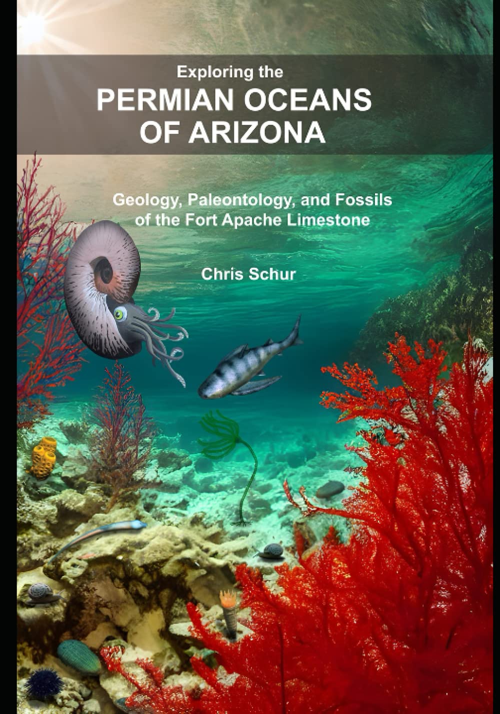 Exploring the Permian Oceans of Arizona: Geology, Paleontology, and ...