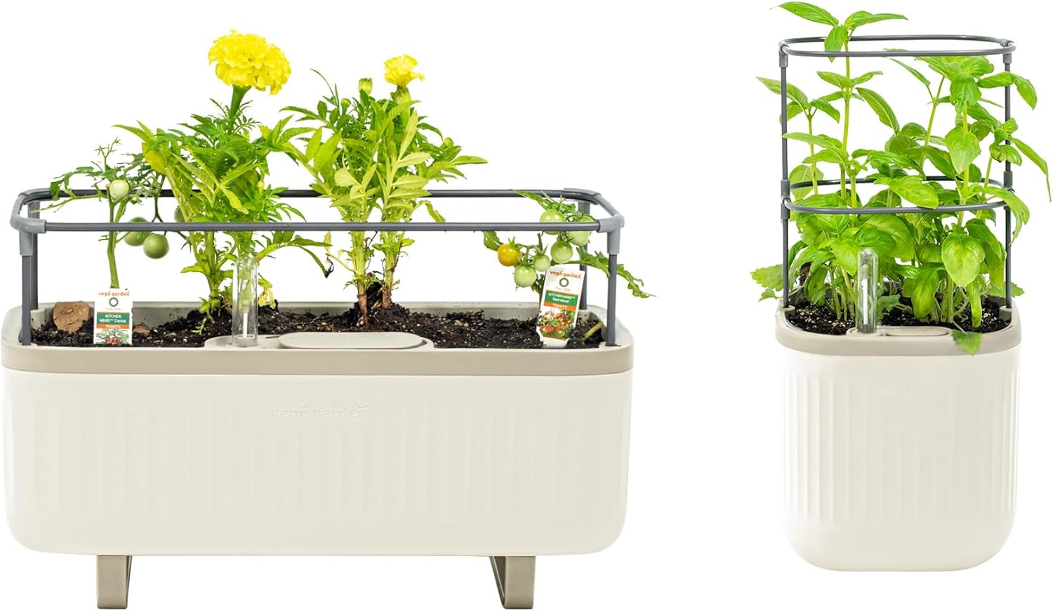 Amazon.com : Vego garden Herb Planter Box with Trellis & Mini Planter ...