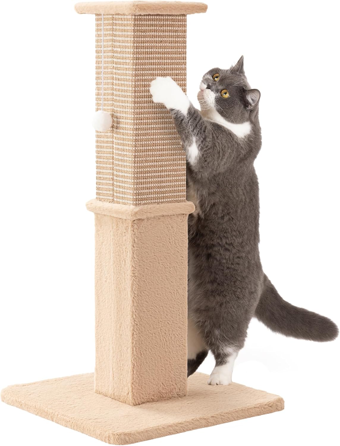 Amazon.com : Aplatho Tall Cat Scratching Post for Indoor Cats Adults ...