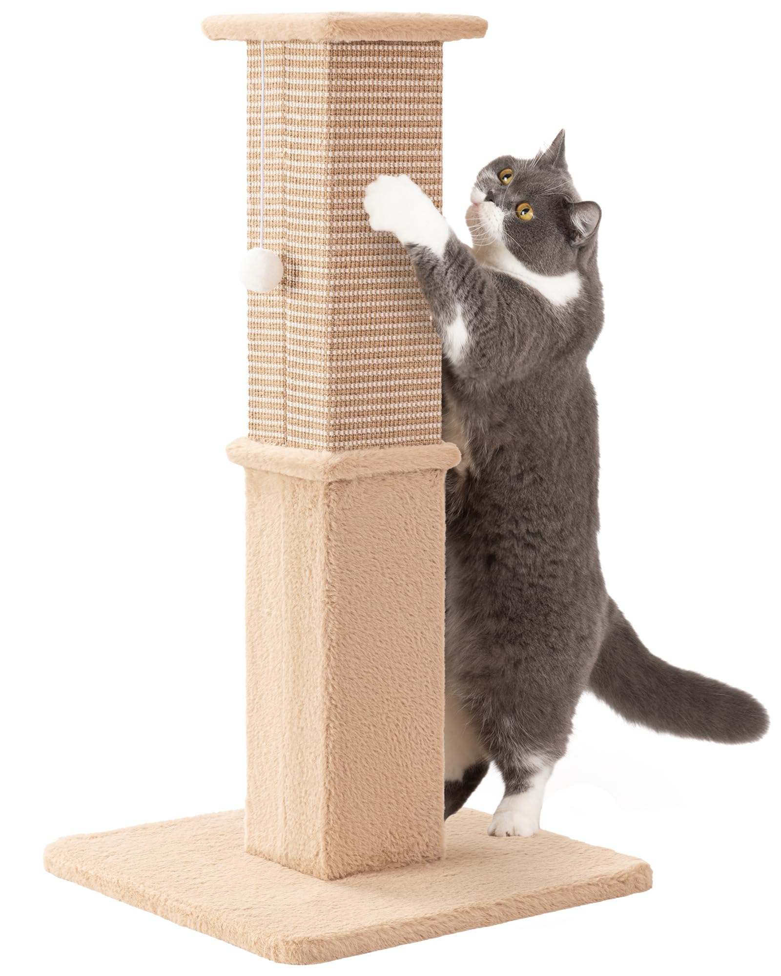 Amazon.com : Aplatho Tall Cat Scratching Post for Indoor Cats Adults ...