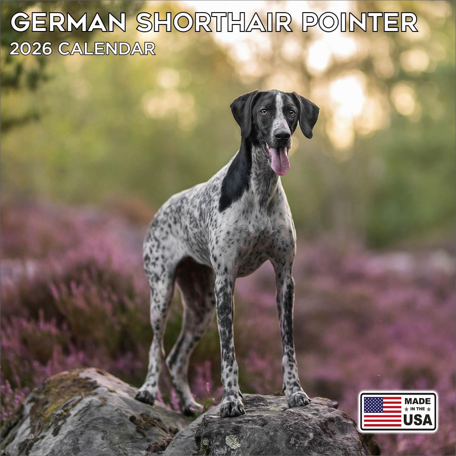 2026 German Shorthaired Pointer Calendar - Dog Breed Wall Calendar - 12 ...