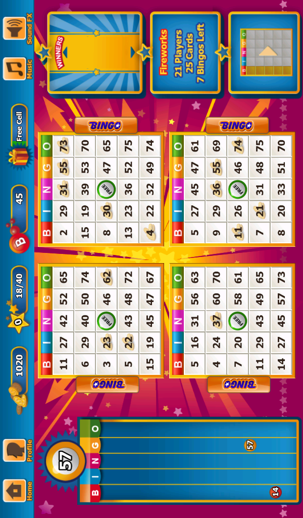 Bingo (Kindle Tablet Edition) - App on Amazon Appstore