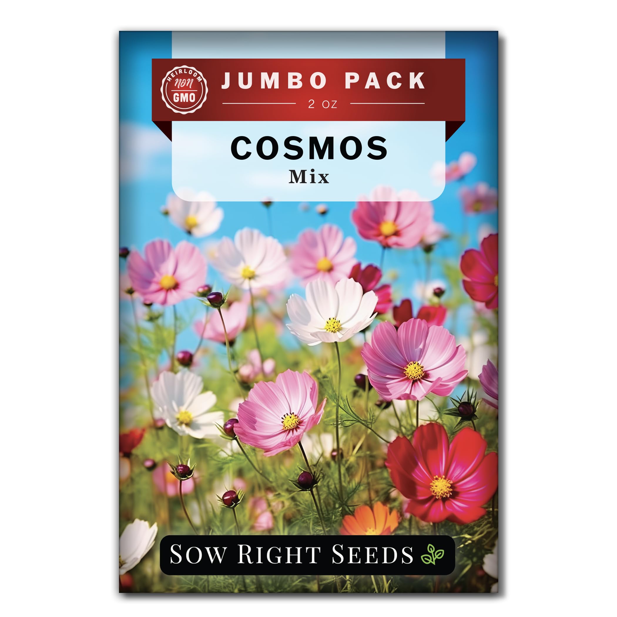 Amazon.com : Sow Right Seeds - Bulk Mixed Cosmos Seeds for Planting - 2 ...