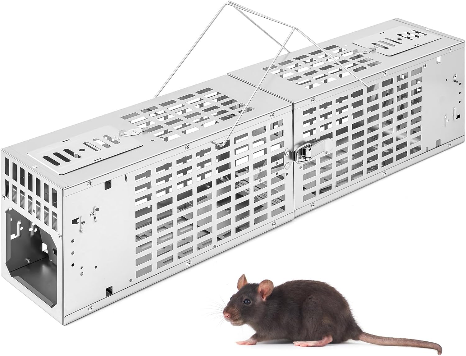 Amazon.com : Qualirey Extended Humane Mouse Traps with Double Opening ...