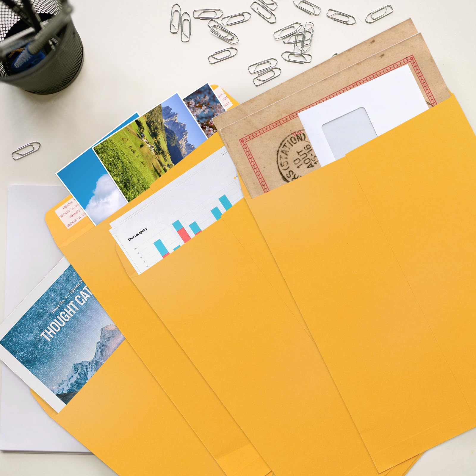 Snapklik.com : 10x13 Catalog Envelopes Self Seal 100 Pack, Goefun 80GSM ...