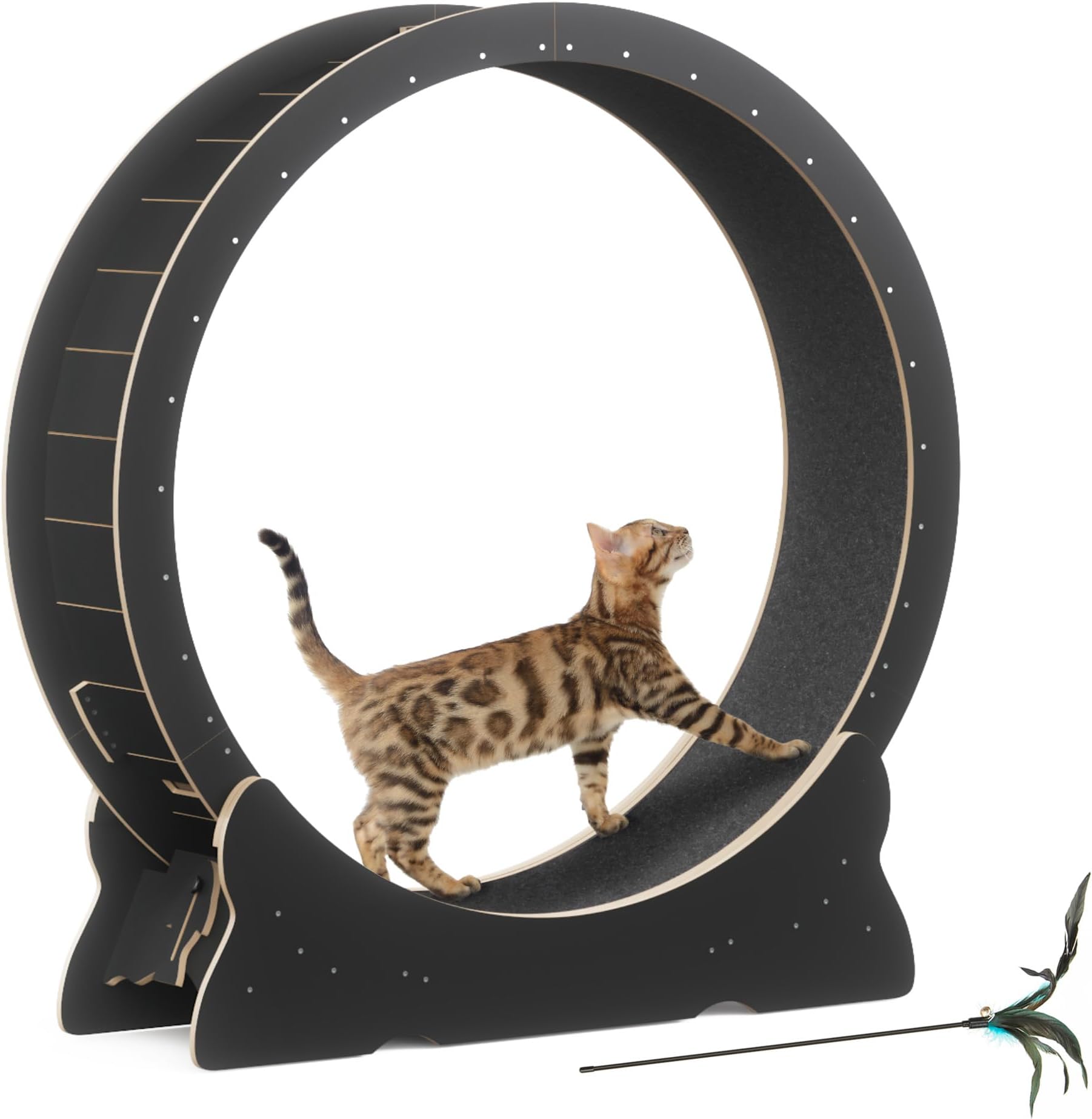 FM Feline Motion Cat Exercise Wheel - Energetic Cat Treadmill Running ...