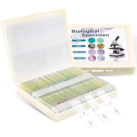 Amazon.com: Celestron No.44410 Prepared Microscope Slides (25-Piece Set ...