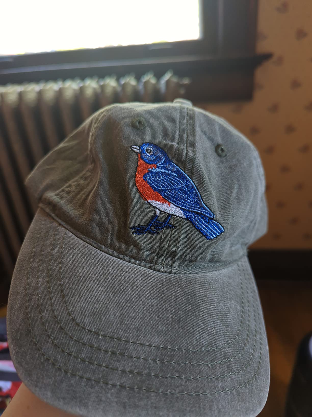 Amazon.com: Eastern Bluebird Embroidered Cotton Cap Green : Clothing ...