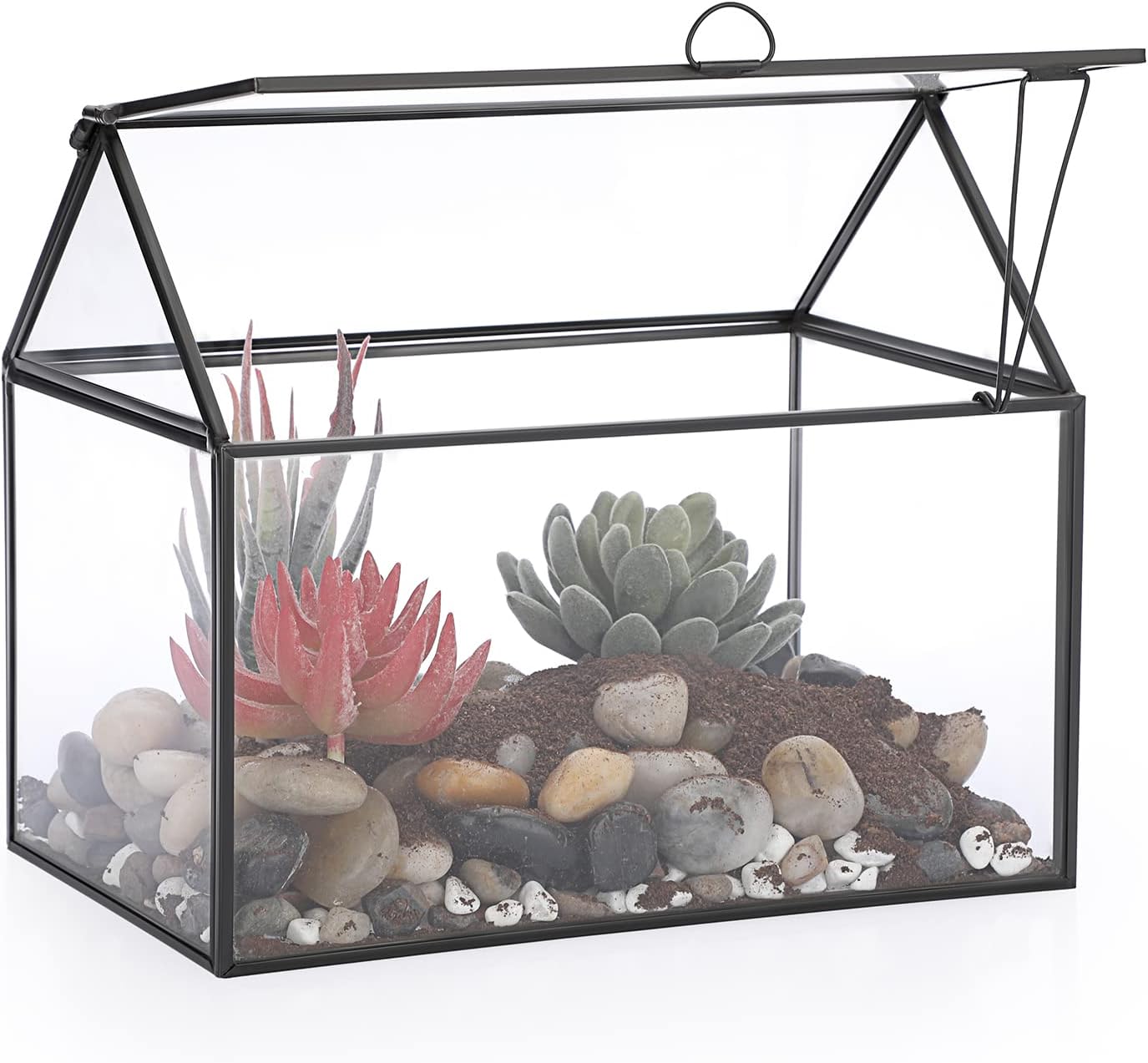 Large Tall Glass Plant Terrarium – Decorative House Glass Terrarium ...