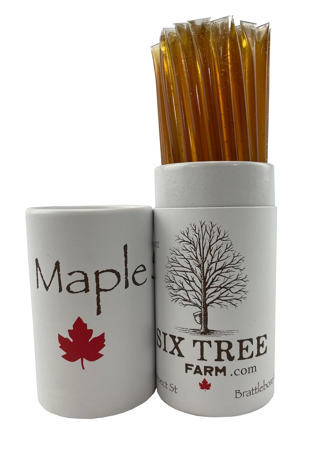 Amazon.com : Six Tree Farm Maple Saplings, Pure State of Vermont Maple ...