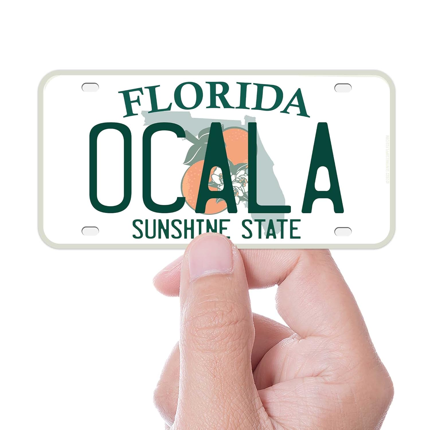 Amazon.com: Florida Bumper Stickers for Car - Waterproof Vinyl FL ...