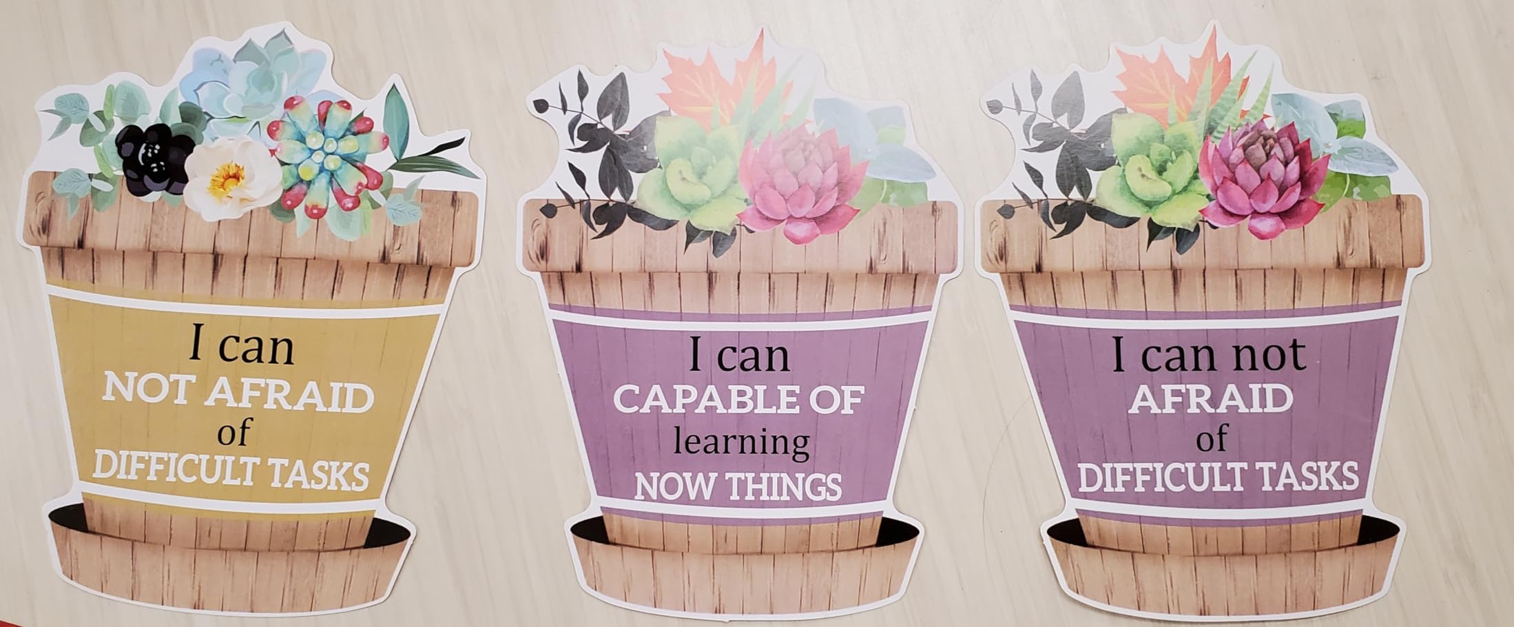 Amazon.com: 46 Pieces Rustic Bloom Grow Your Mindset Succulents ...