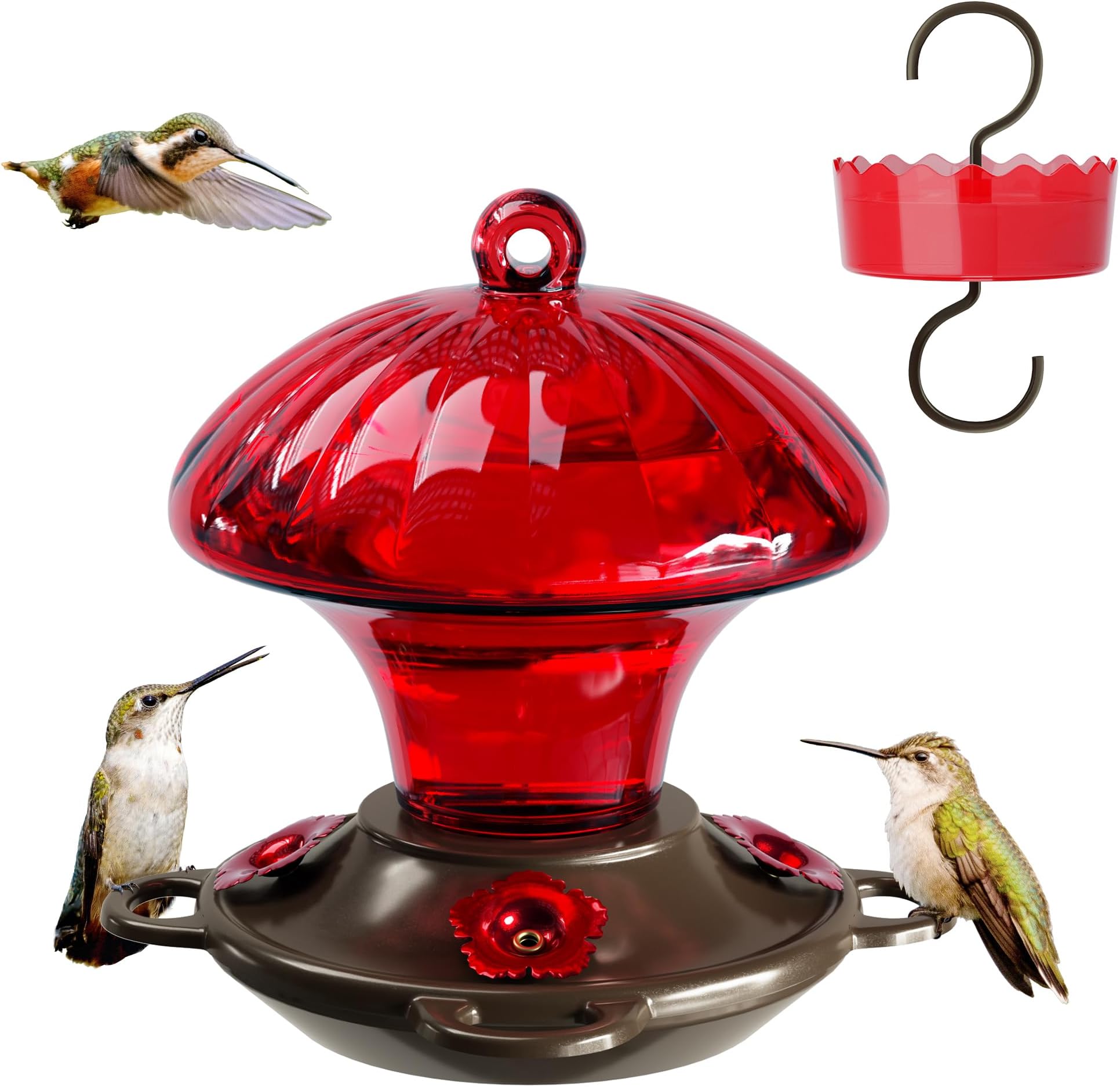 Amazon.com: MCHBF Glass Humming Bird Feeders for Outdoor Hanging,Red ...