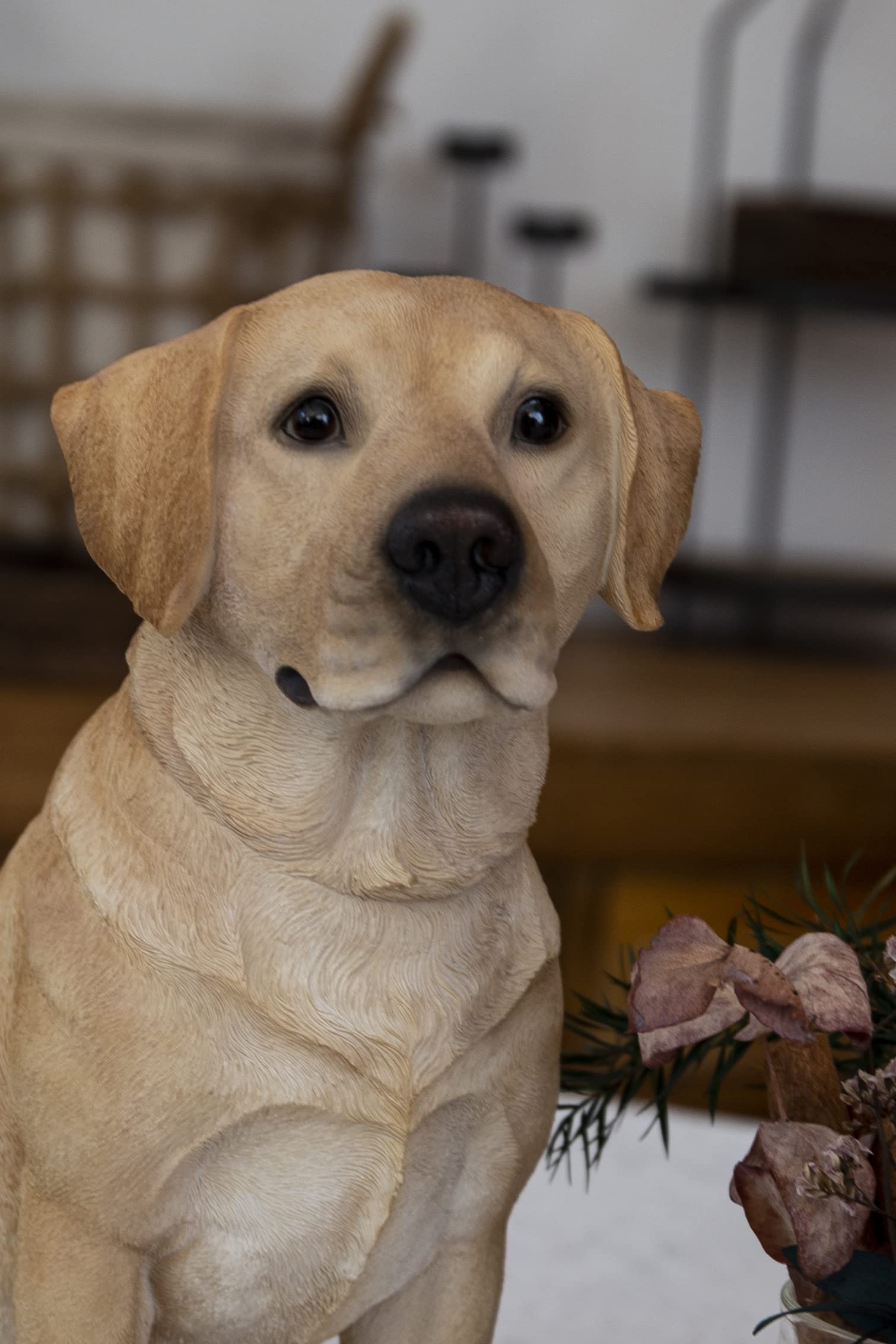 Full Grown Yellow Lab