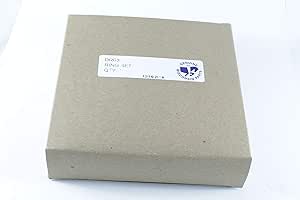 Amazon.com: Wisconsin DR63S10 2-Piston ring set (DR 63 S10) : Automotive