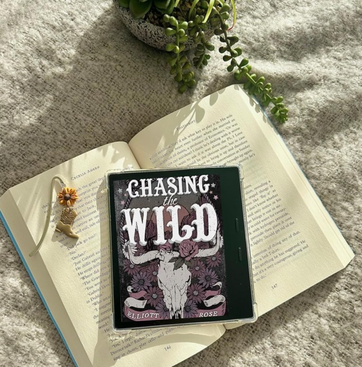 Chasing The Wild: An Ex-boyfriend's Dad, Age Gap Cowboy Romance: 1 ...
