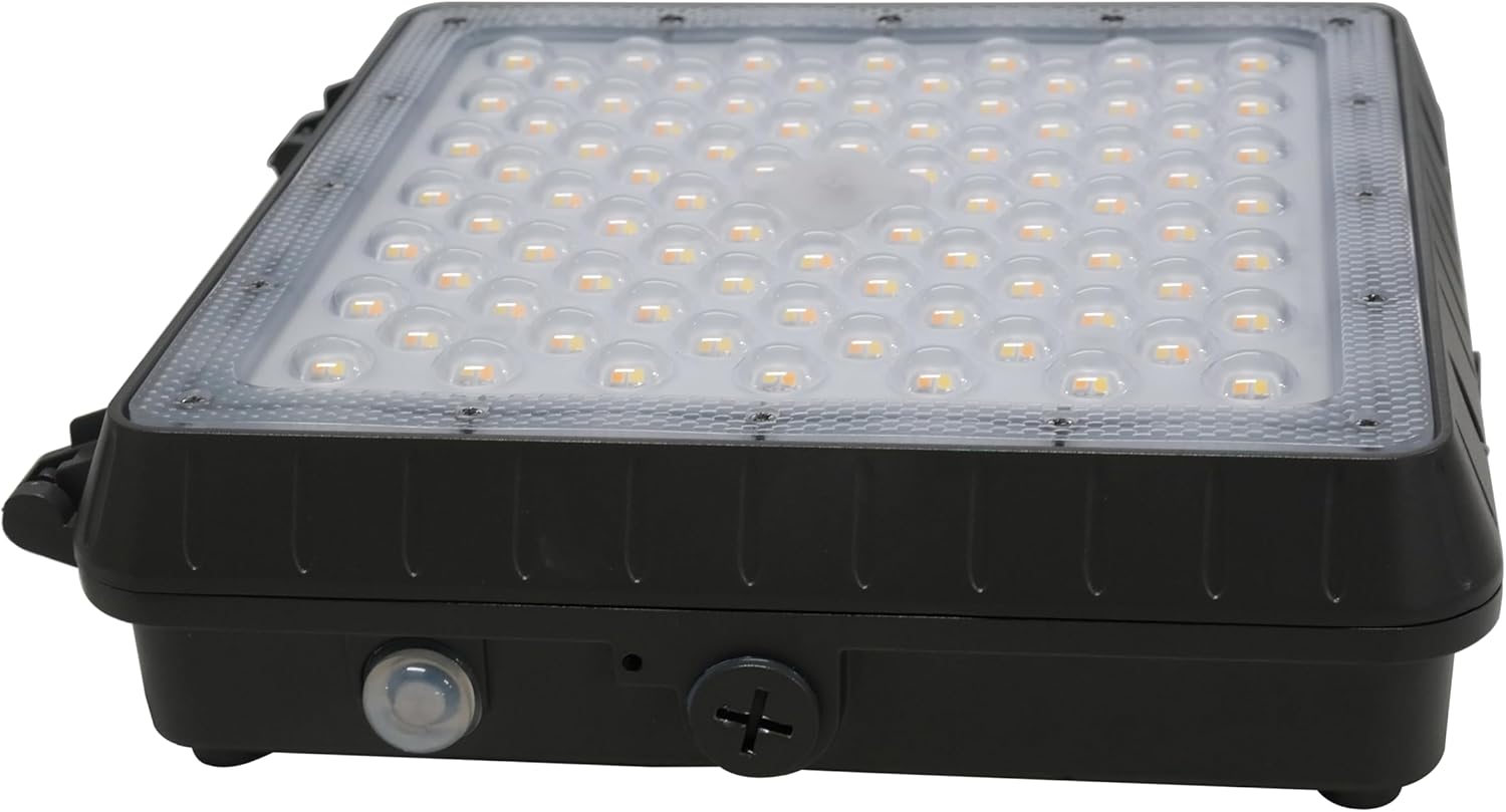 E2 LIGHTING LED Canopy Light Fixture 10x10 with Emergency Battery ...