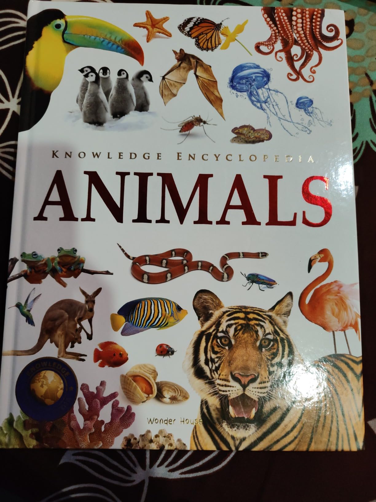 Knowledge Encyclopedia - Animals : Wonder House Books: Amazon.in: Books