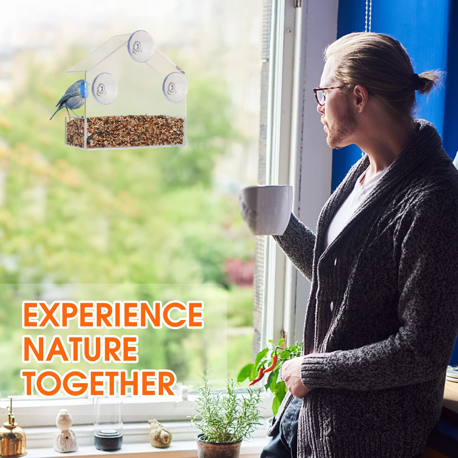 YMGN Window Bird Feeders with Strong Suction Cups, Clear Window Bird ...