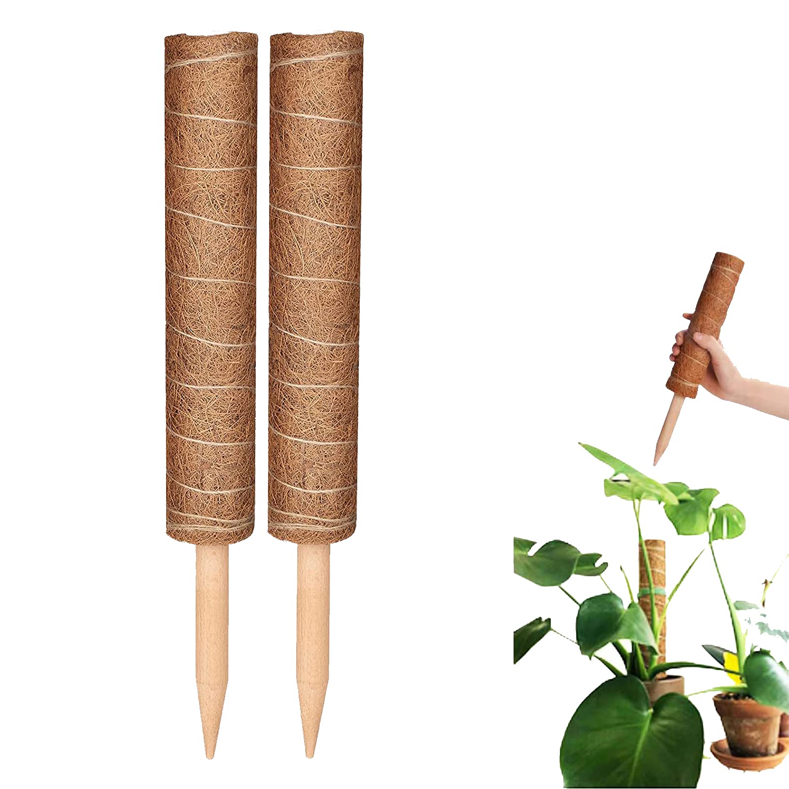 Buy Kijamilee 24 Inch Moss Pole for Climbing s, 2 Pack 12 Inch Coir ...