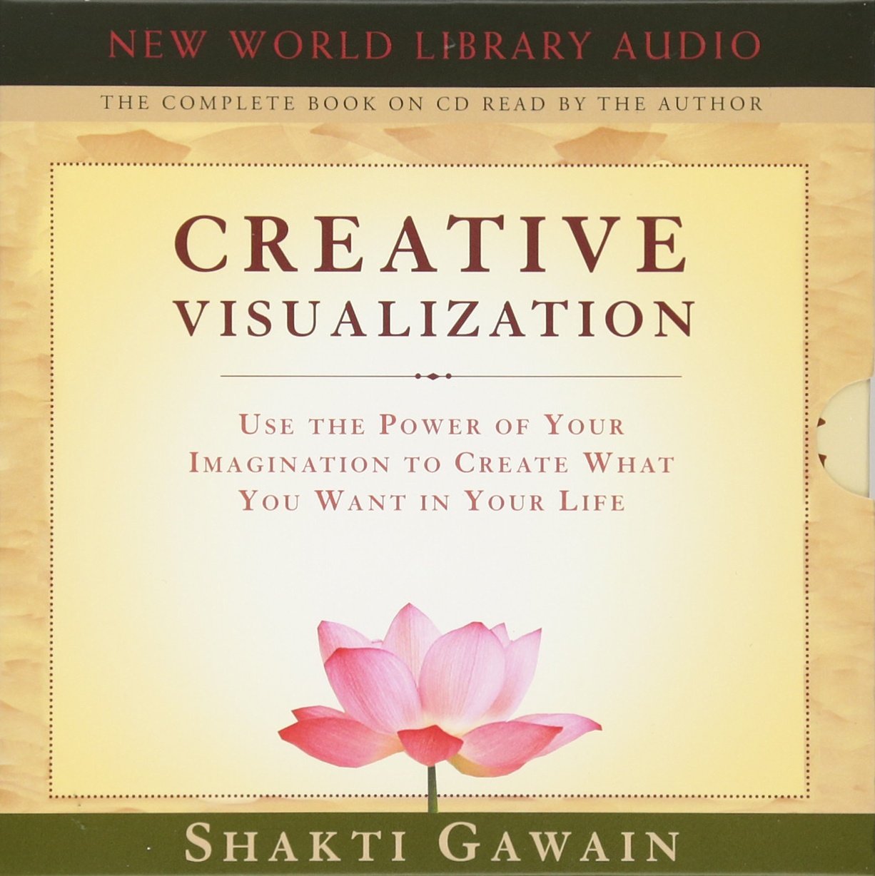 Creative Visualization: Use the Power of Your Imagination to Create ...