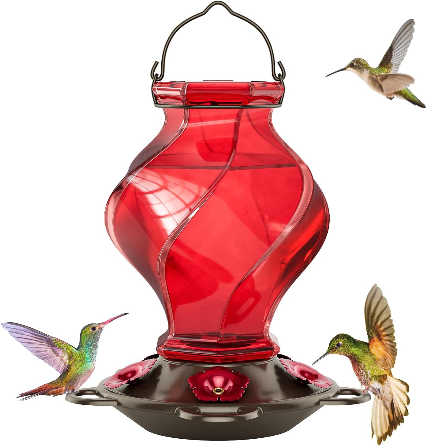 Amazon.com : More Birds Glory Hummingbird Feeder, Glass Hummingbird ...
