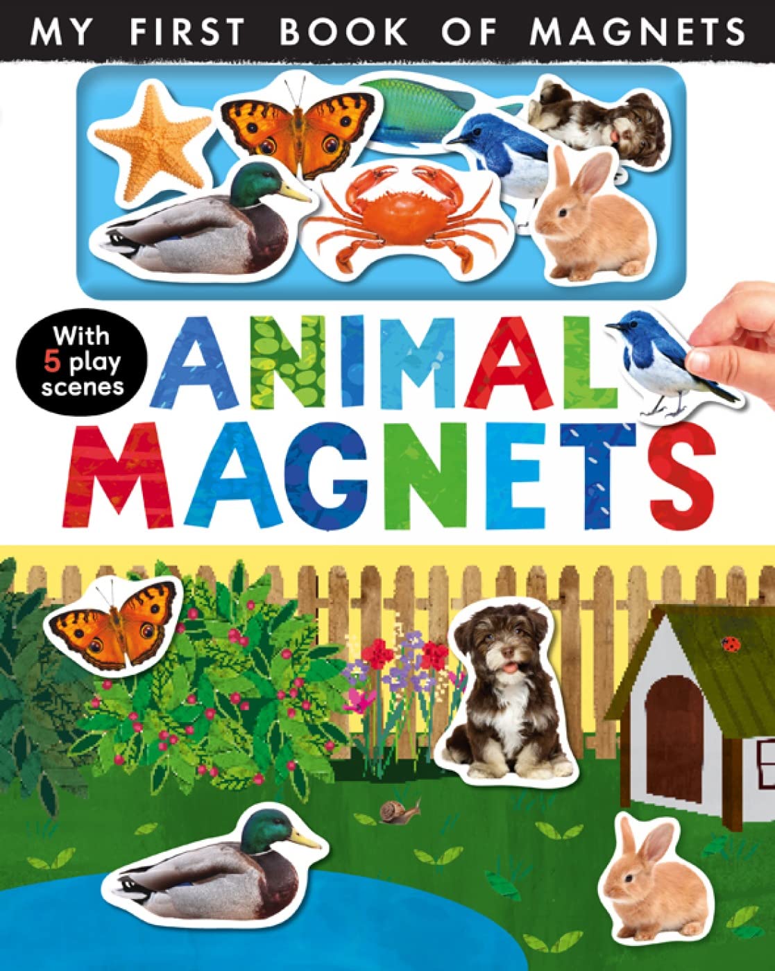 Animal Magnets : My First Book of Magnets : Edwards, Nicola, Wilson ...