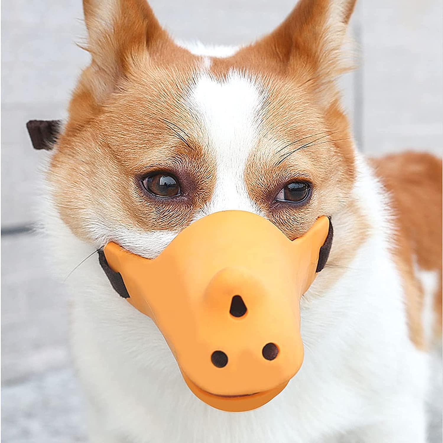 Amazon.com: WANGZHENG Dog Muzzle,Rhinoceros Shape,Soft Silicone Mouth ...